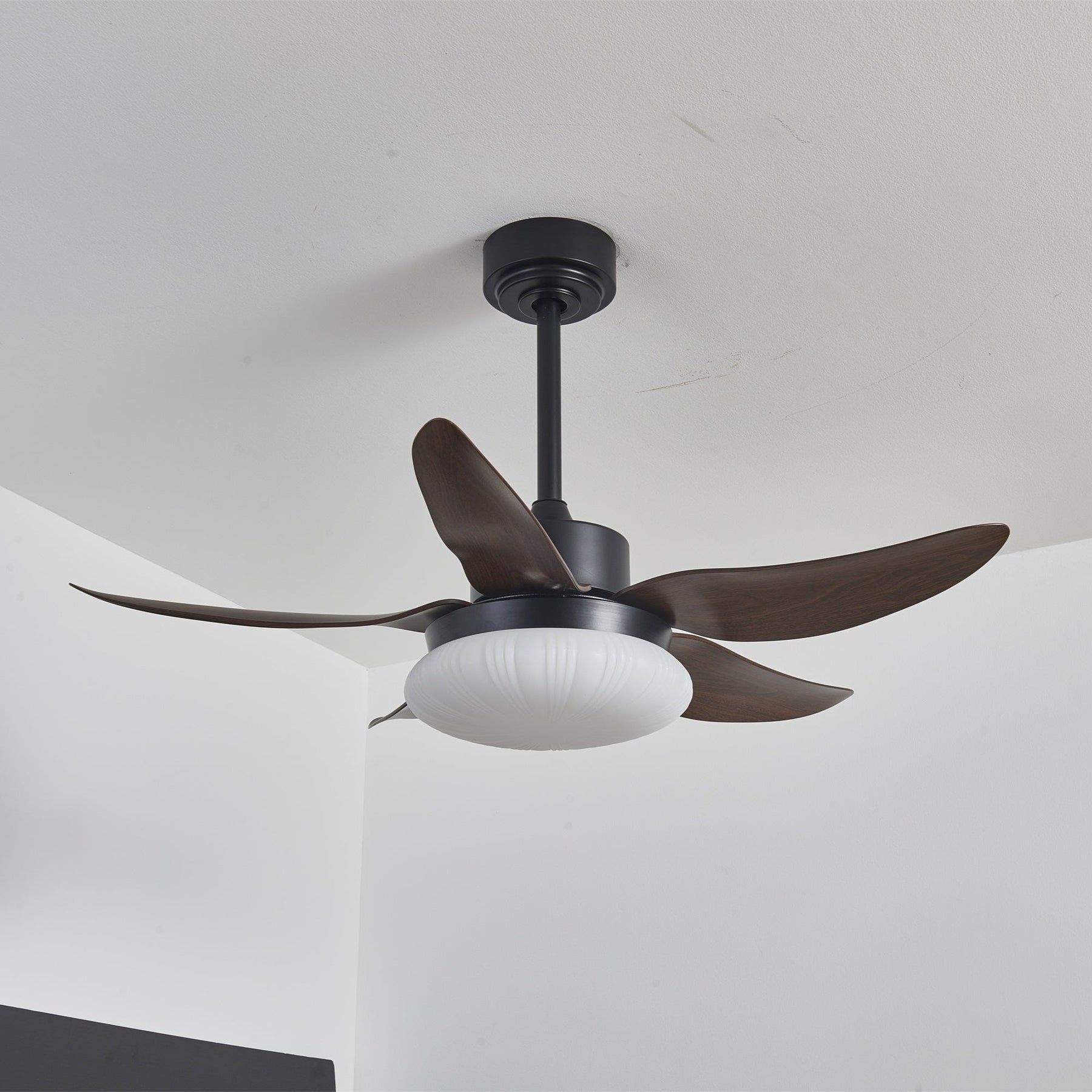 Aero Palm Ceiling Fan Light– YOVINO
