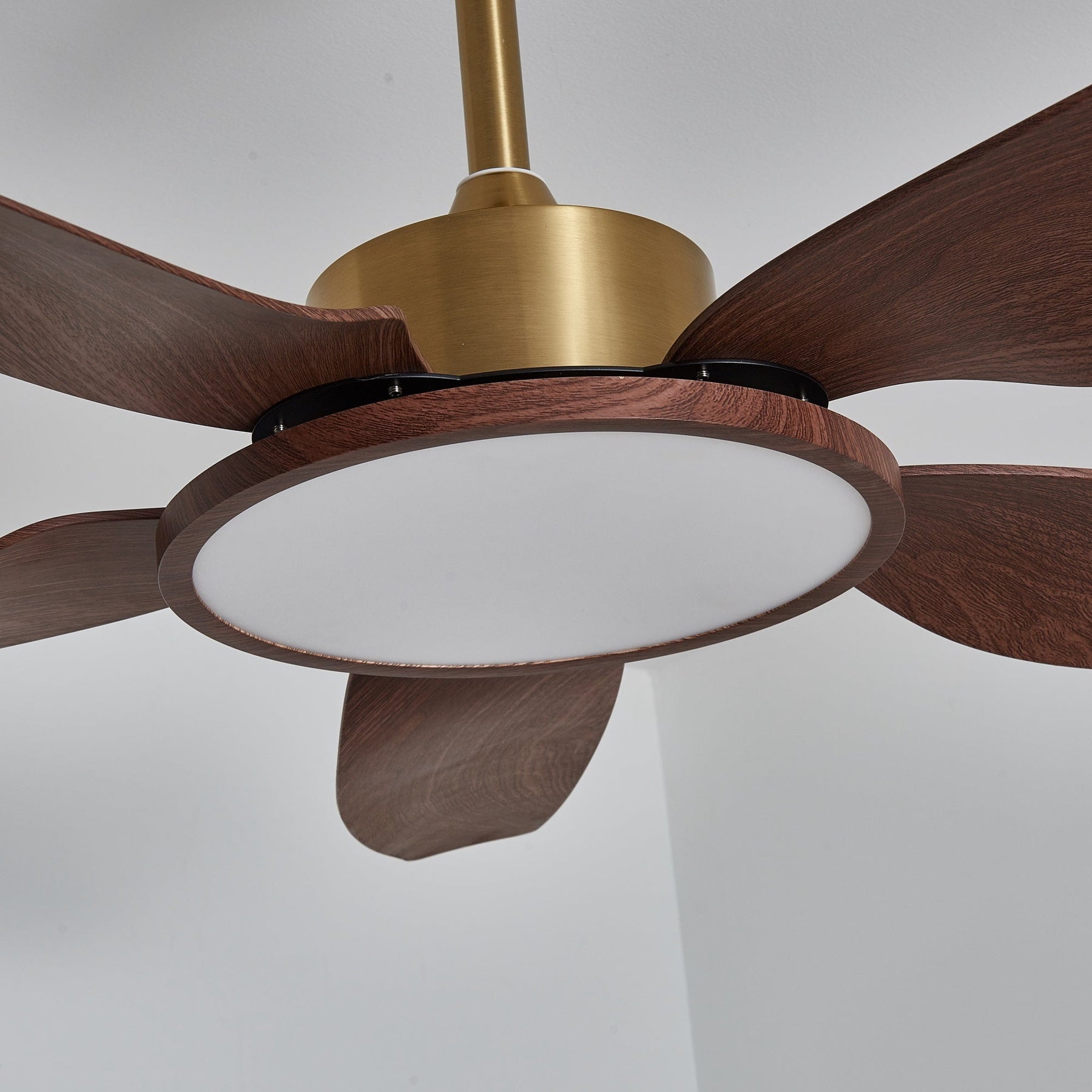 Sirocco Breeze Ceiling Fan Light– YOVINO